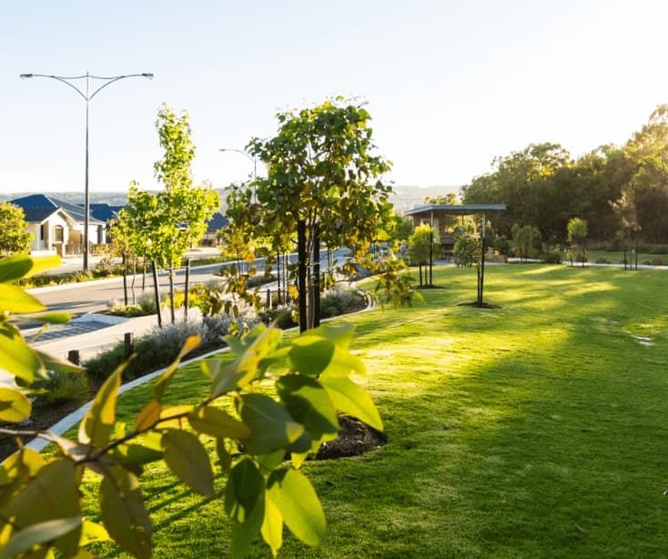 Taylor Springs - A community amongst nature
