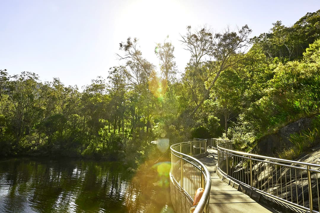Taylor Springs - A community amongst nature