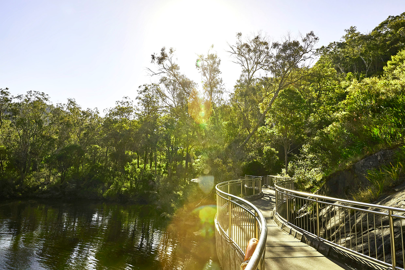 Taylor Springs - A community amongst nature